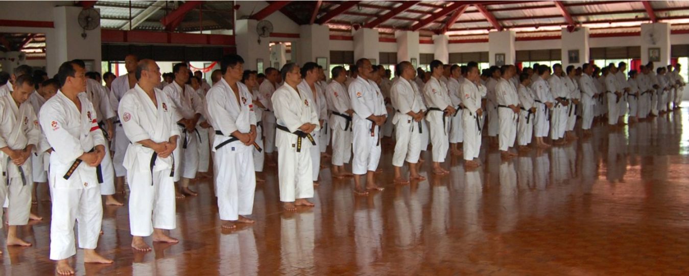 KEMPO JOGJA - PERKEMI (PERSAUDARAAN SHORINJI KEMPO INDONESIA)